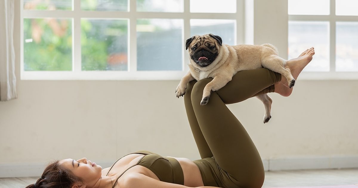 Acteev Expands Brand With Launches of… | Ascend Performance Materials